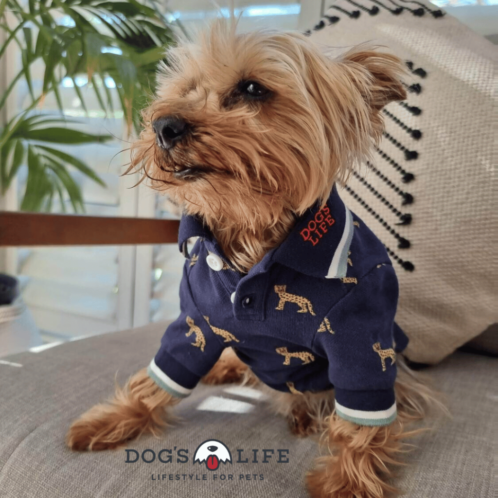 Pet shop – Greenside Animal Hospital