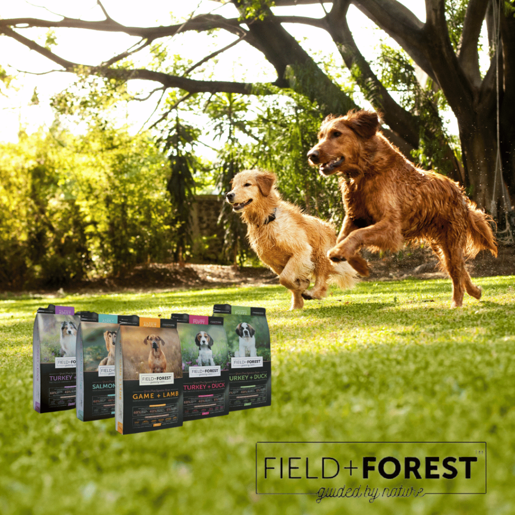 Pet shop – Greenside Animal Hospital