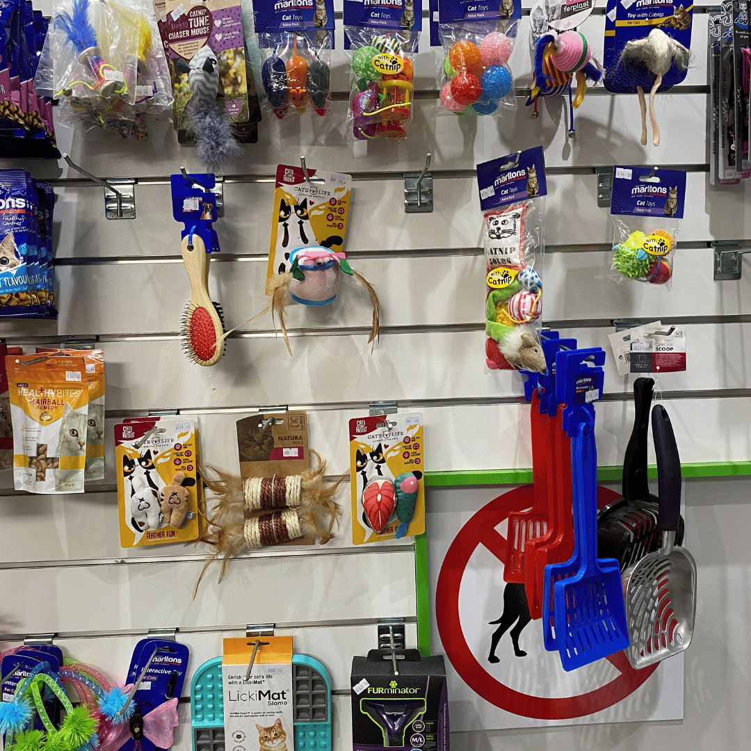 How to choose the right pet toys for your pets – Greenside Animal Hospital