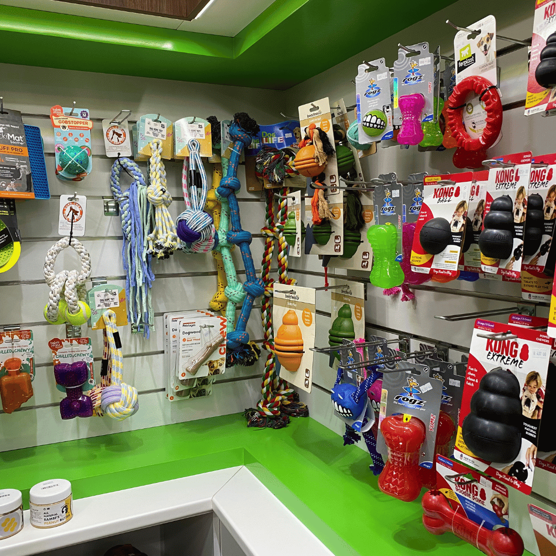 How to choose the right pet toys for your pets – Greenside Animal Hospital